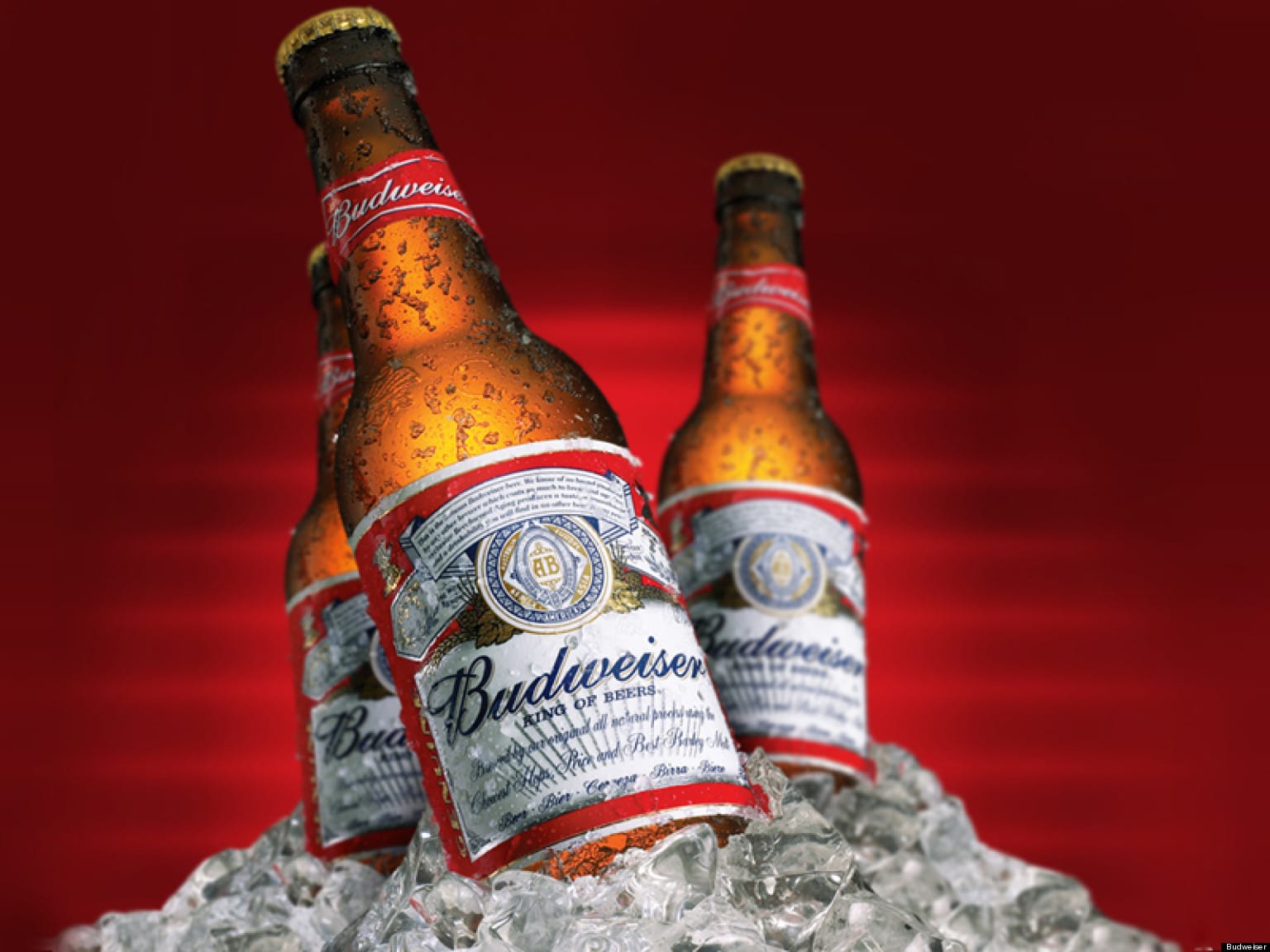 Budweiser - Líder de vendas nos EUA - História da Cerveja